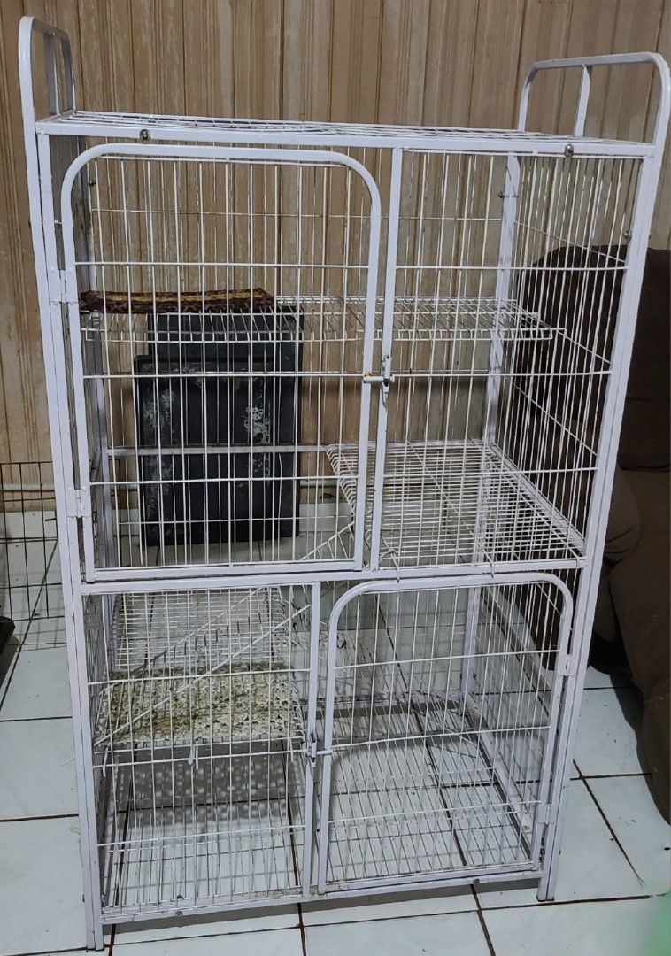 Cat cage 4 tingkat, Pet Supplies, Homes & Other Pet Accessories on ...
