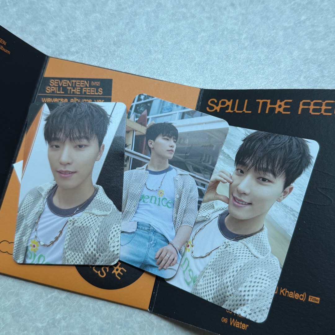 WTS SEVENTEEN SVT STF SPILL THE FEELS DINO WEVERSE ALBUM, Hobbies ...