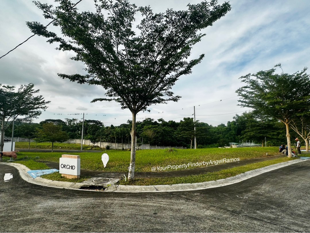Racha Mansions Below Market Value, Property, For Sale, Lot on Carousell