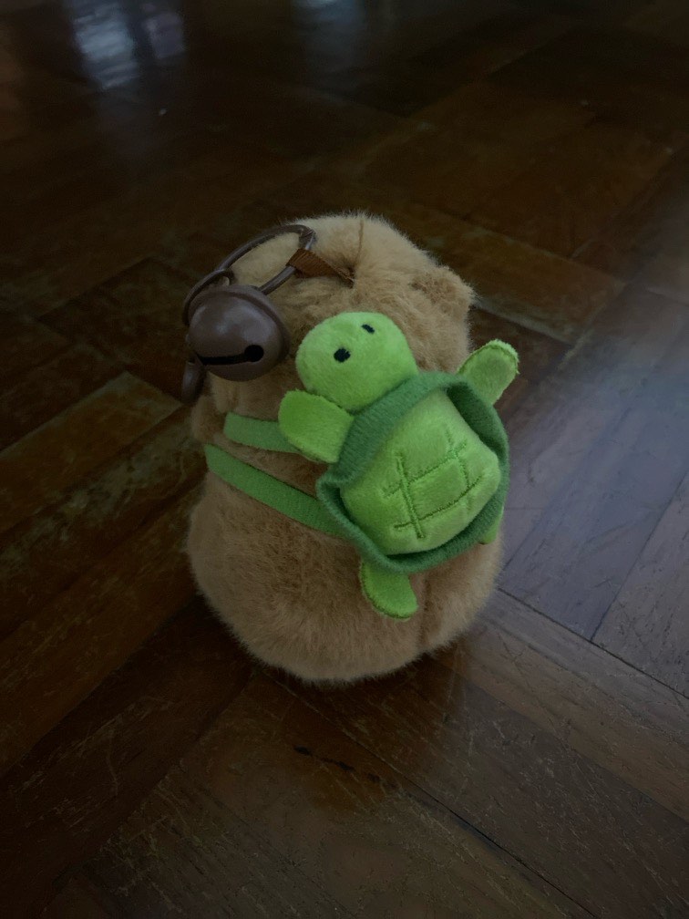 Capybara turtle keychain, Hobbies & Toys, Toys & Games on Carousell