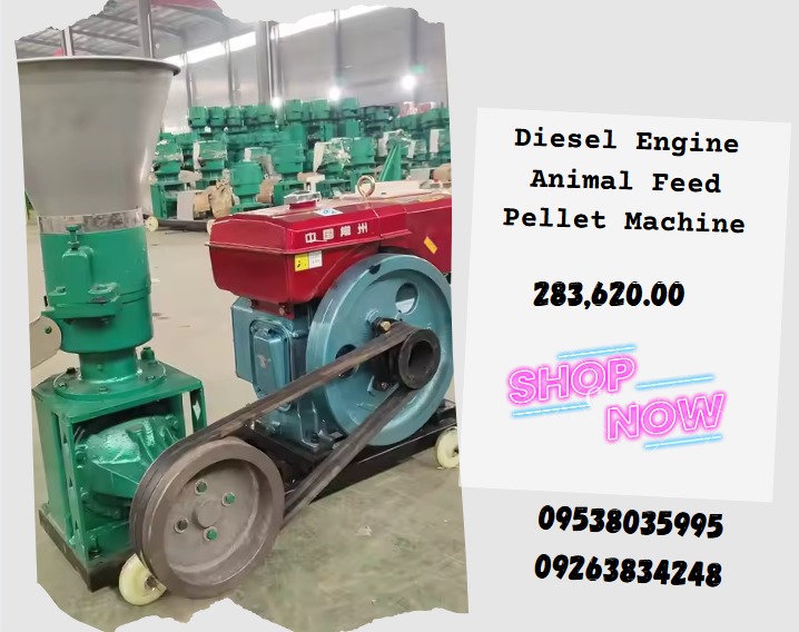 DIESEL ENGINE ANIMAL FEED PELLET MACHINE, Everything Else, Others on ...