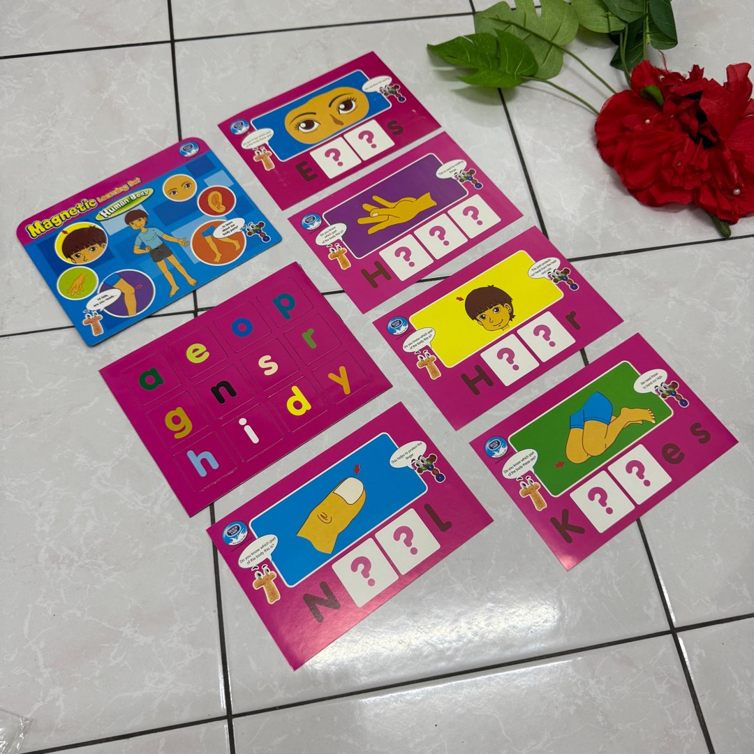 Dutch lady magnetic body learning set, Babies & Kids, Infant Playtime ...