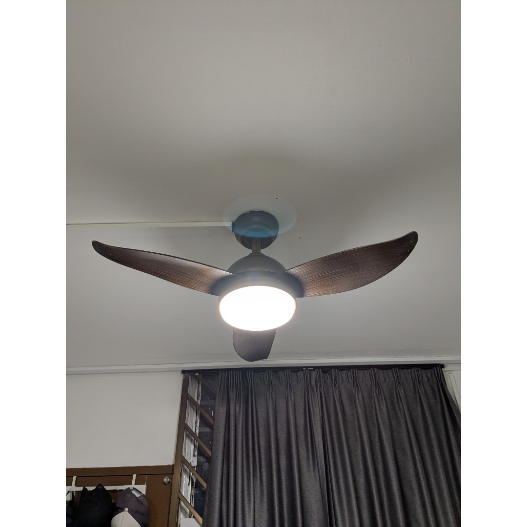 Fanco B-Star Ceiling Fan in Wood (36 inch), Furniture & Home Living ...