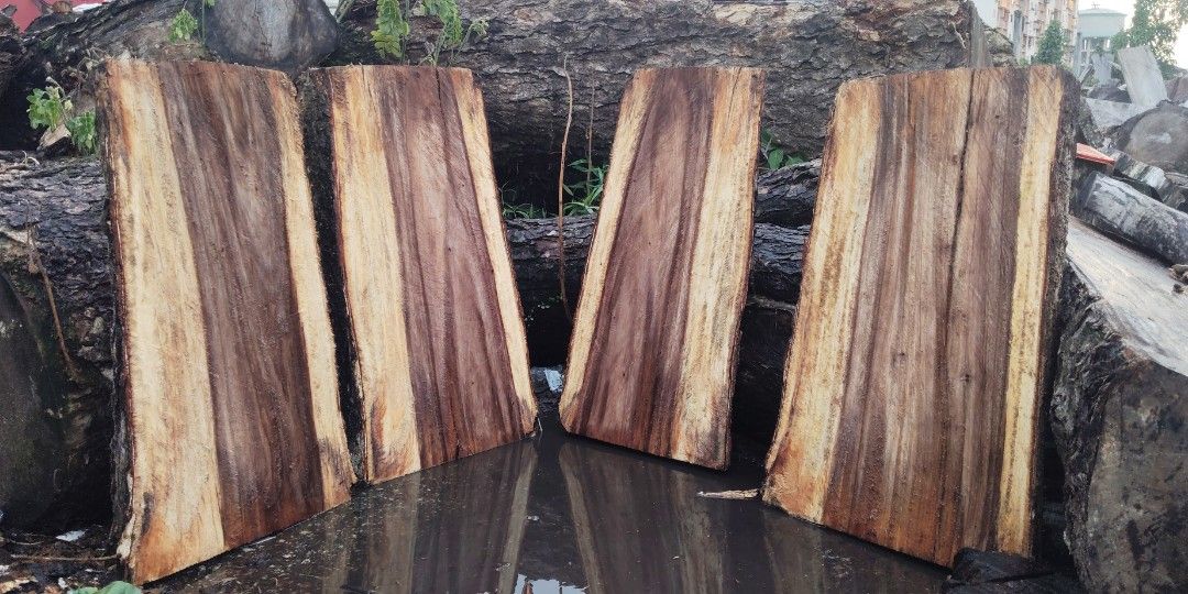 Raw SOLID WOOD RAINTREE, Furniture & Home Living, Furniture, Shelves ...