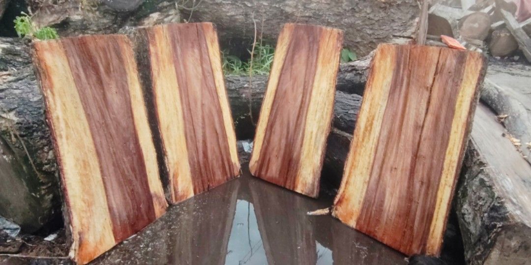 Raw SOLID WOOD RAINTREE, Furniture & Home Living, Furniture, Shelves ...