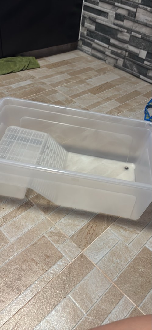 Terrapin home, Pet Supplies, Homes & Other Pet Accessories on Carousell