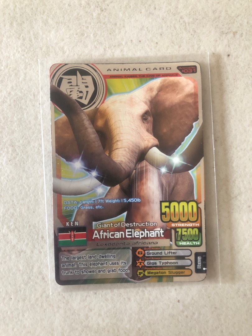 Animal Kaiser Plus African Elephant, Hobbies & Toys, Toys & Games on ...