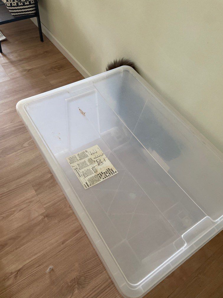 IKEA SAMLA storage with lid, Furniture & Home Living, Home Improvement ...