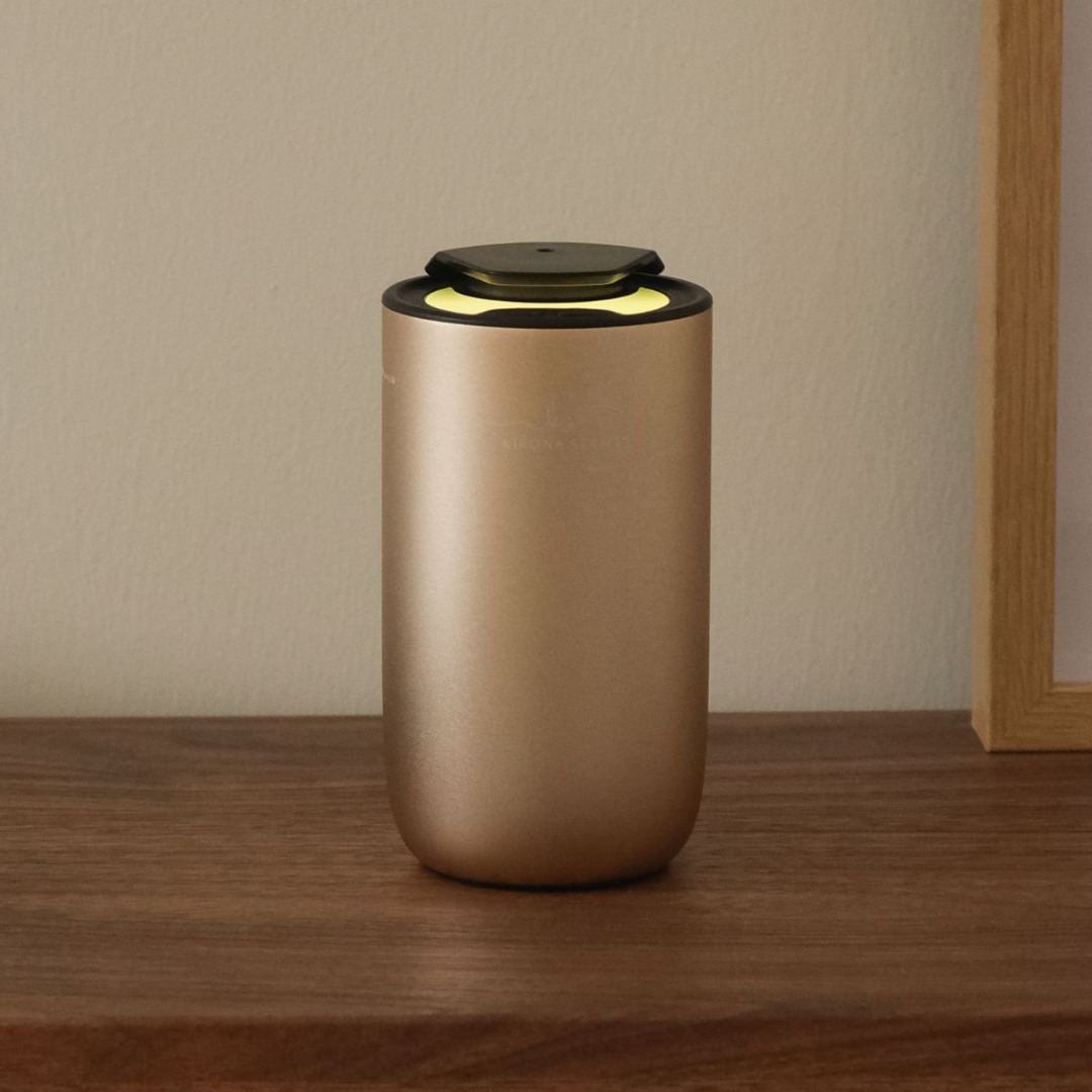 Waterless Diffuser - Bullet Aroma Nebulizer (Metallic Gold), Furniture & Home Living, Home ...