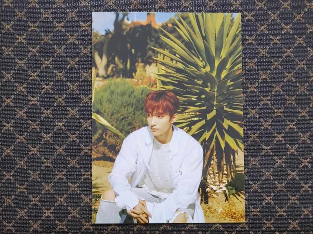 DK set - OFFICIAL Heng:garae photocard (tingi from Seventeen kit album ...