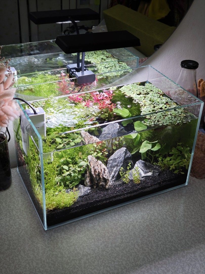 FULL SET AQUARIUM CC CRYSTAL CLEAR GLASS FISH TANK 40CM 40 CM, Pet ...