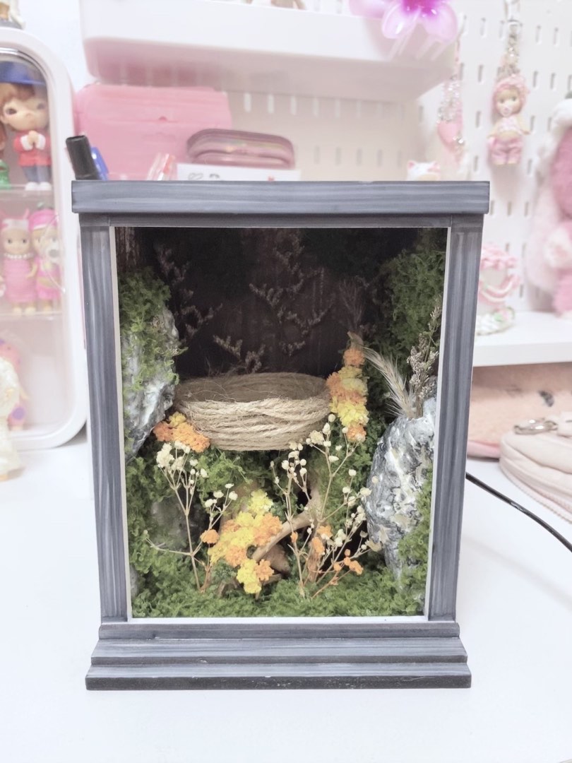 Hirono birdy custom box, Hobbies & Toys, Toys & Games on Carousell