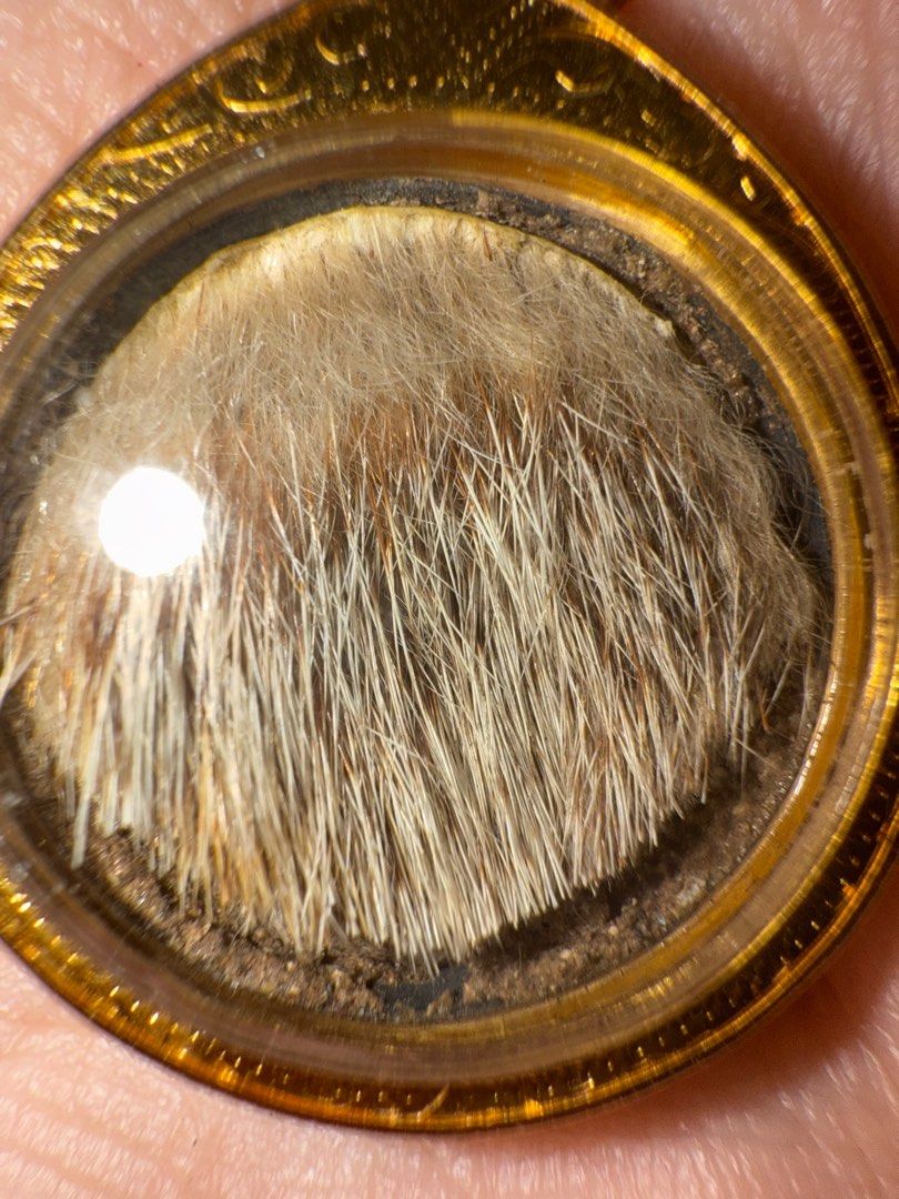 Lp Tae Wat Sam Ngan Talab Ya Mong, Hobbies & Toys, Memorabilia ...