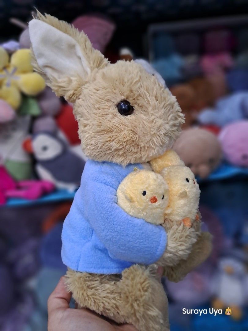 Peter Rabbit x Gund, Hobbies & Toys, Toys & Games on Carousell