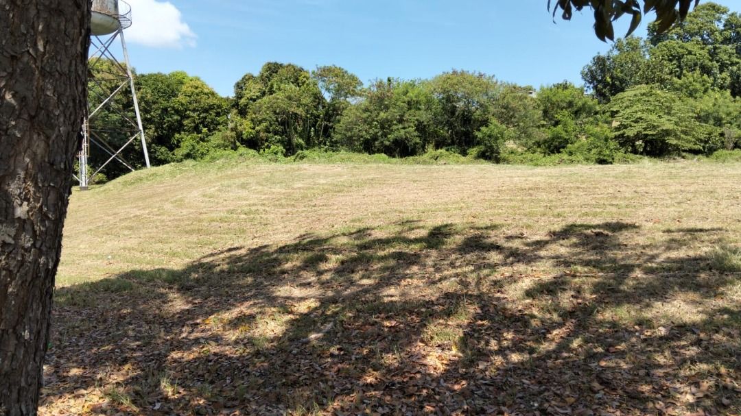 For Sale: 769sqm Residential Lot in Manila Southwoods Residential ...