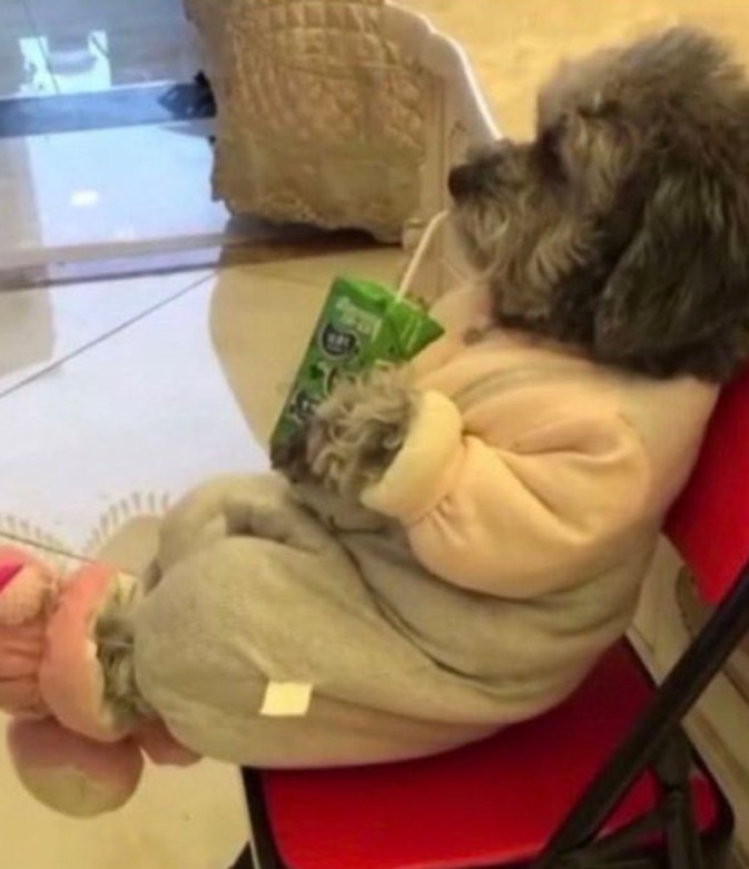 FROZEN SEER LIFEWEAVER, Video Gaming, Gaming Accessories, In-Game ...