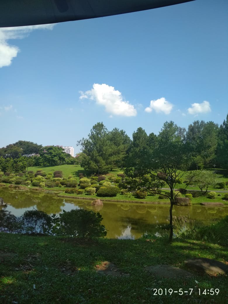 Hillview Heights, Property, Rentals, Condos & ECs on Carousell