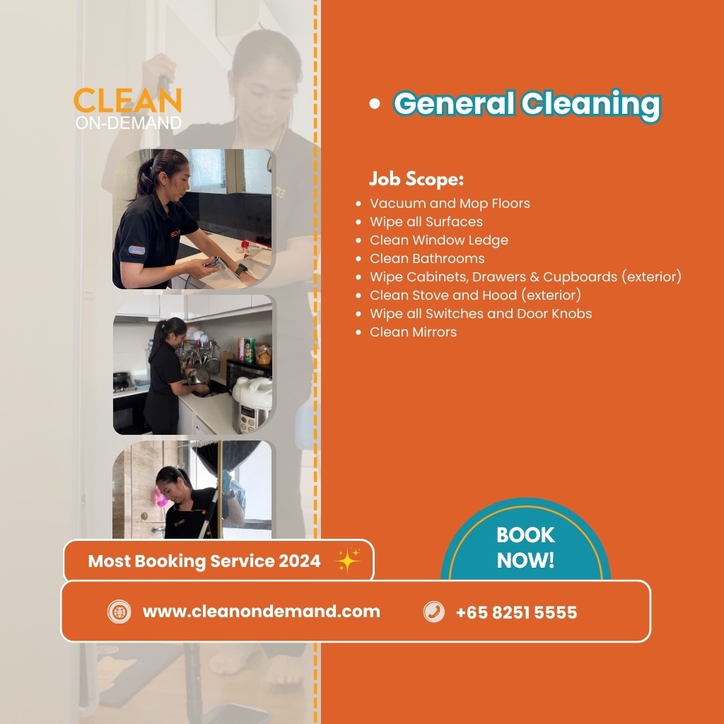 GENERAL CLEANING / HOUSE CLEANING / WIPE CABINETS (EXTERIOR) / BATHROOM ...