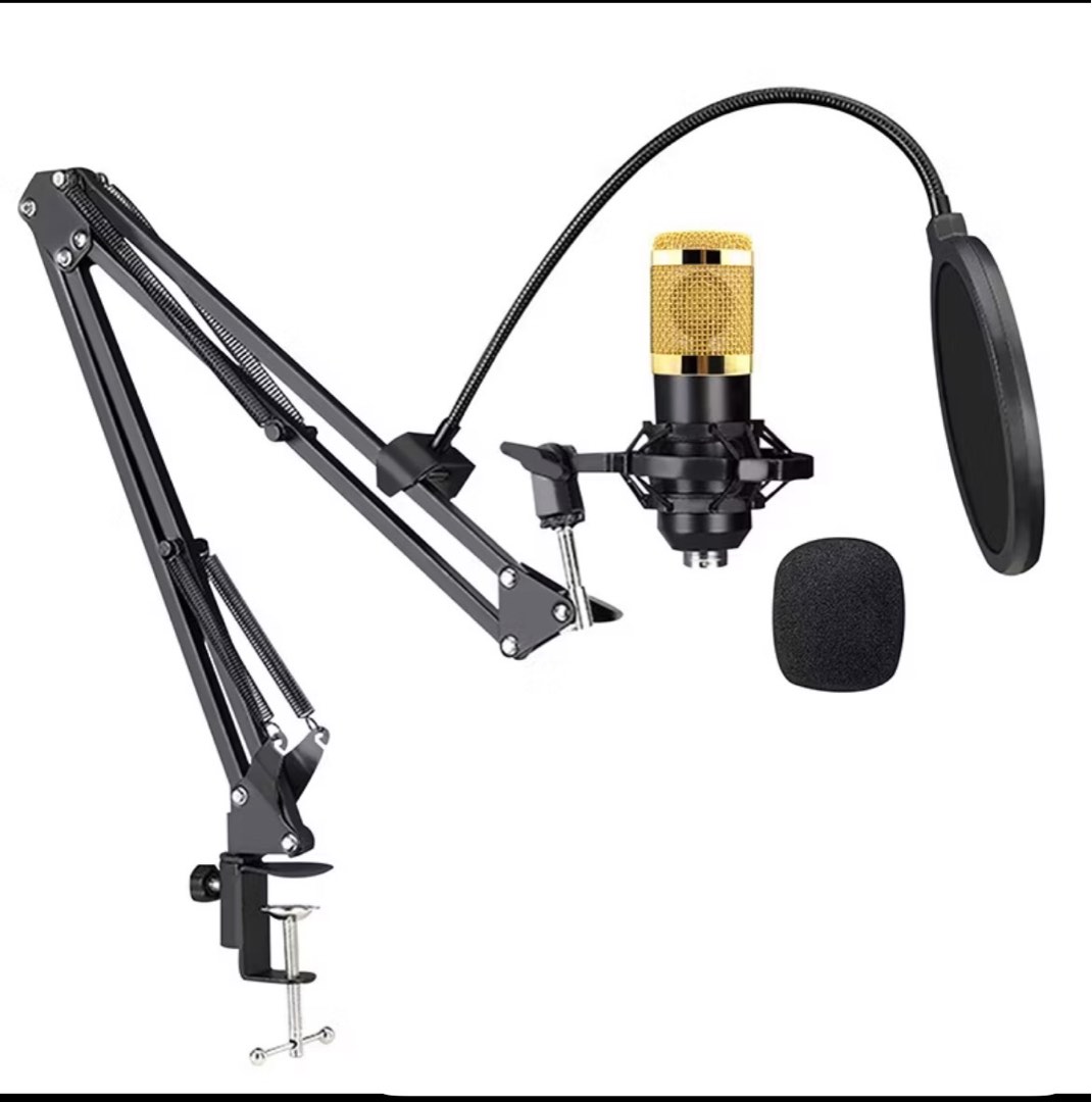 Condenser Microphone with stand arm, Audio, Microphones on Carousell
