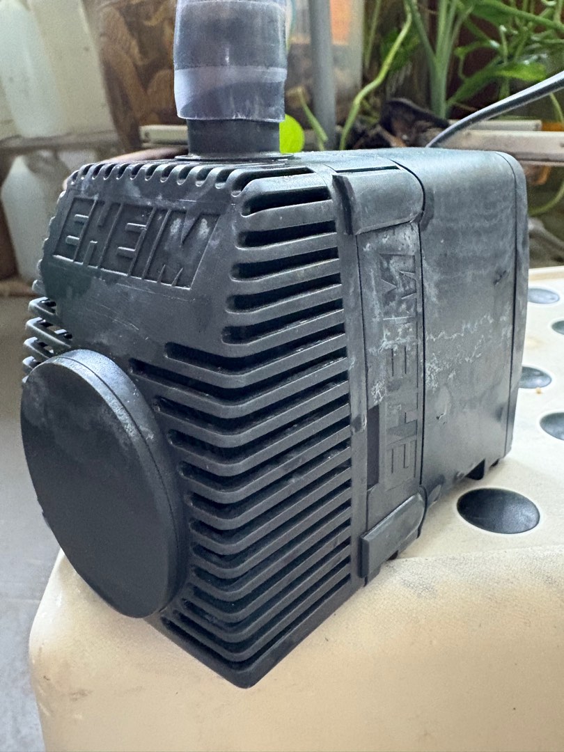 EHEIM Pump, Pet Supplies, Homes & Other Pet Accessories on Carousell