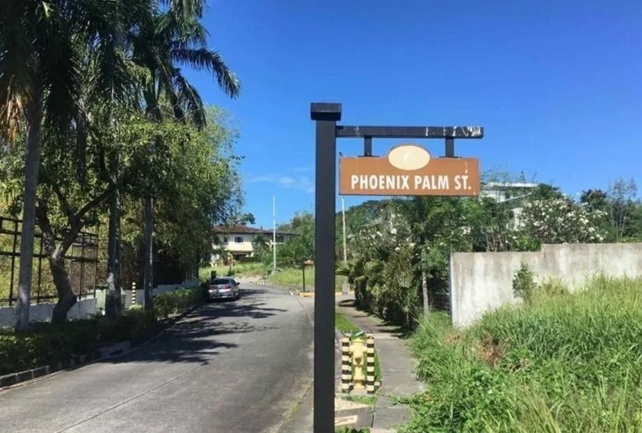 The Palms Pointe Alabang Lot For Sale 17 Meters Frontage. Regular Cut Not Tumbok 1 KM From ...