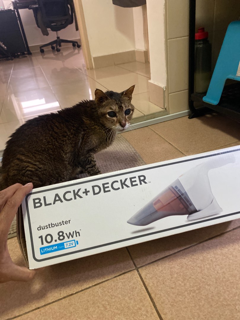 Black+Decker Dustbuster Handheld Vacuum, TV & Home Appliances, Vacuum ...