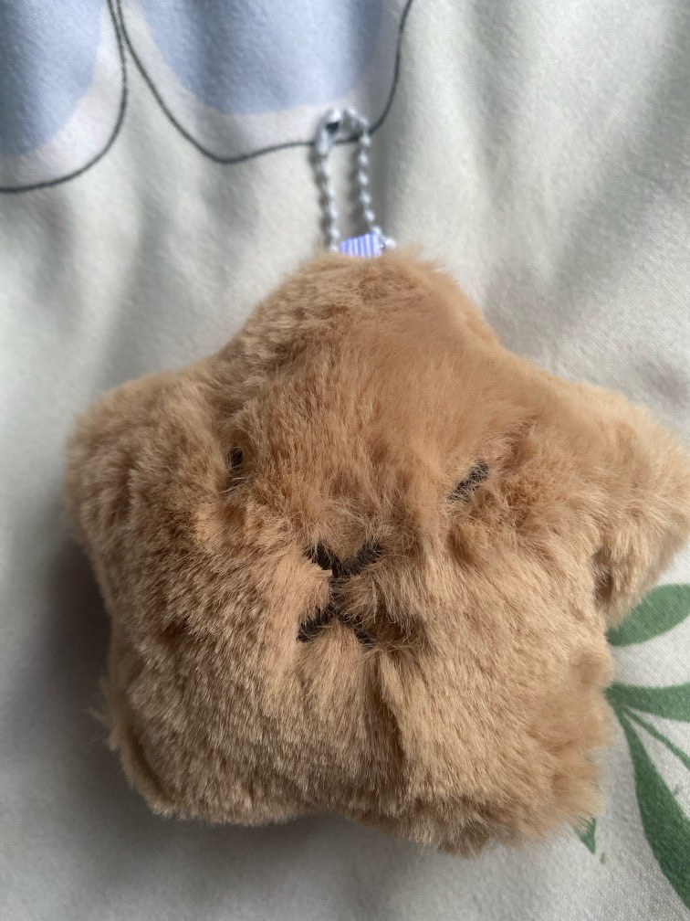 capybara star keychain, Hobbies & Toys, Toys & Games on Carousell