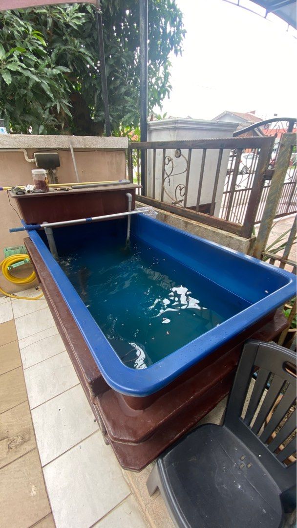 Fiberglass Tank With Glass, Furniture & Home Living, Outdoor Furniture ...
