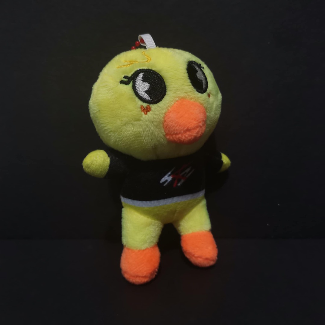 (Free Shipping) Stray Kids SKZOO Plush Bag Charm (other tags: duck ...