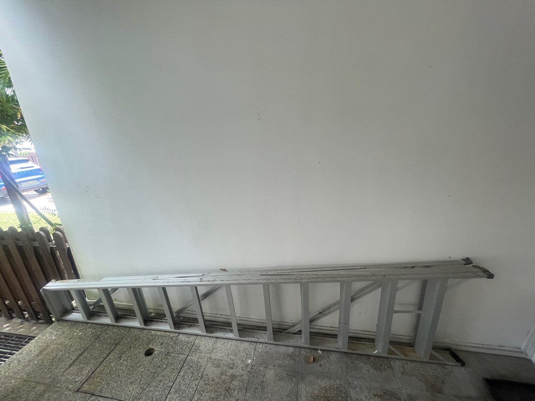 Long ladder (3m), Everything Else on Carousell