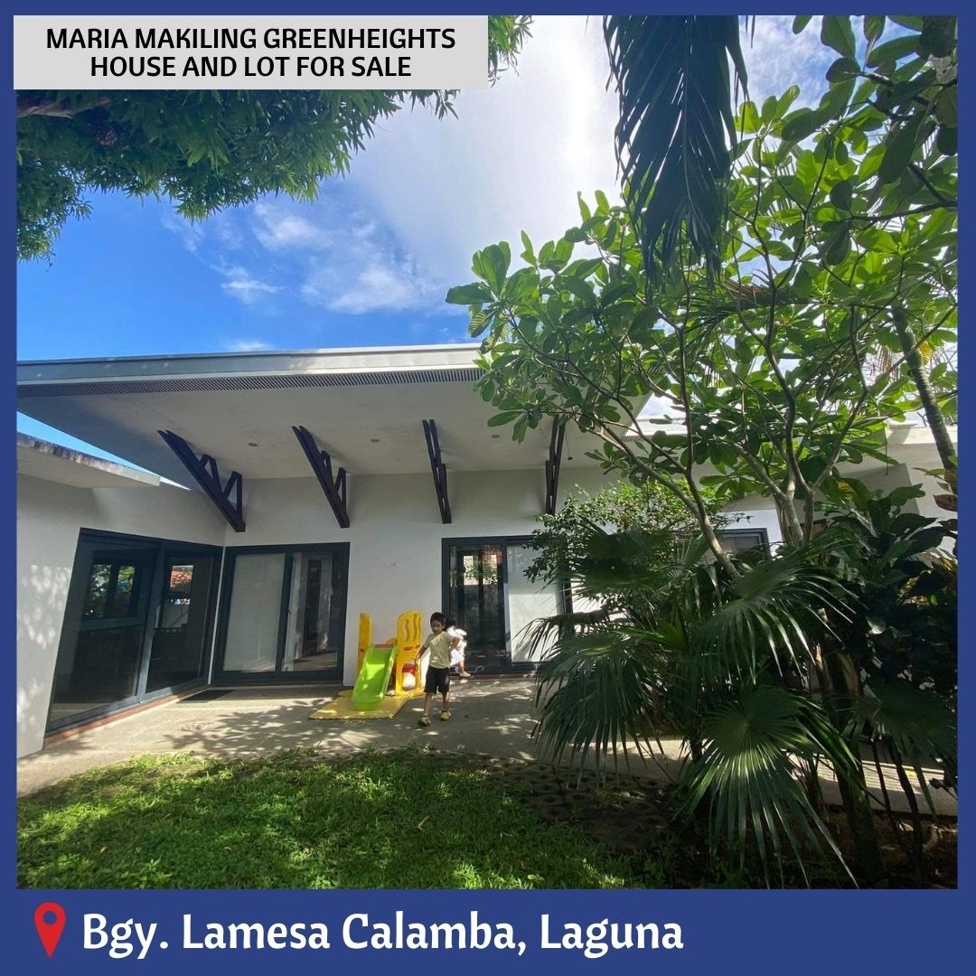 PDM010 - Maria Makiling Greenheights House and Lot For Sale, Property ...