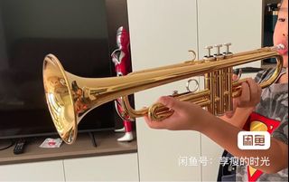 STP-30V Japanese Trumpet, Hobbies & Toys, Music & Media, Musical ...