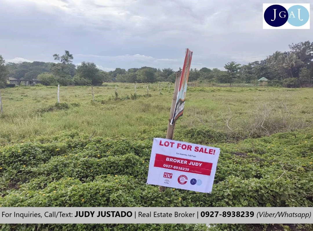 Vacant Lot in Iloilo City For Sale - Ideal for Warehouse and Commercial ...