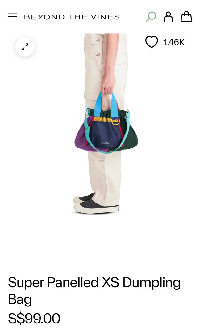 BTV Super Panelled XS Dumpling Bag, Women's Fashion, Bags & Wallets ...