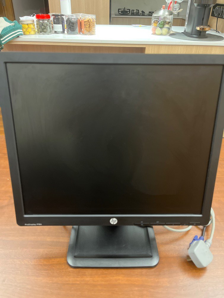 HP ProDisplay P19A monitor (working condition), Computers & Tech ...