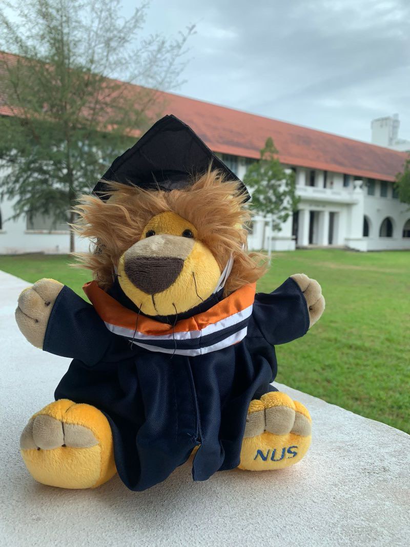 NUS Graduation Bear, Hobbies & Toys, Toys & Games on Carousell