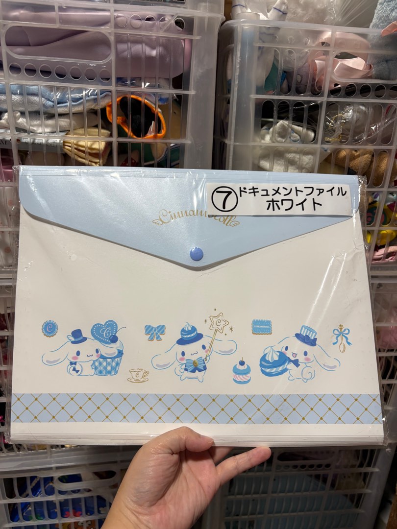 Sanrio: Cinnamoroll Envelope folder case A4, Hobbies & Toys, Stationary ...