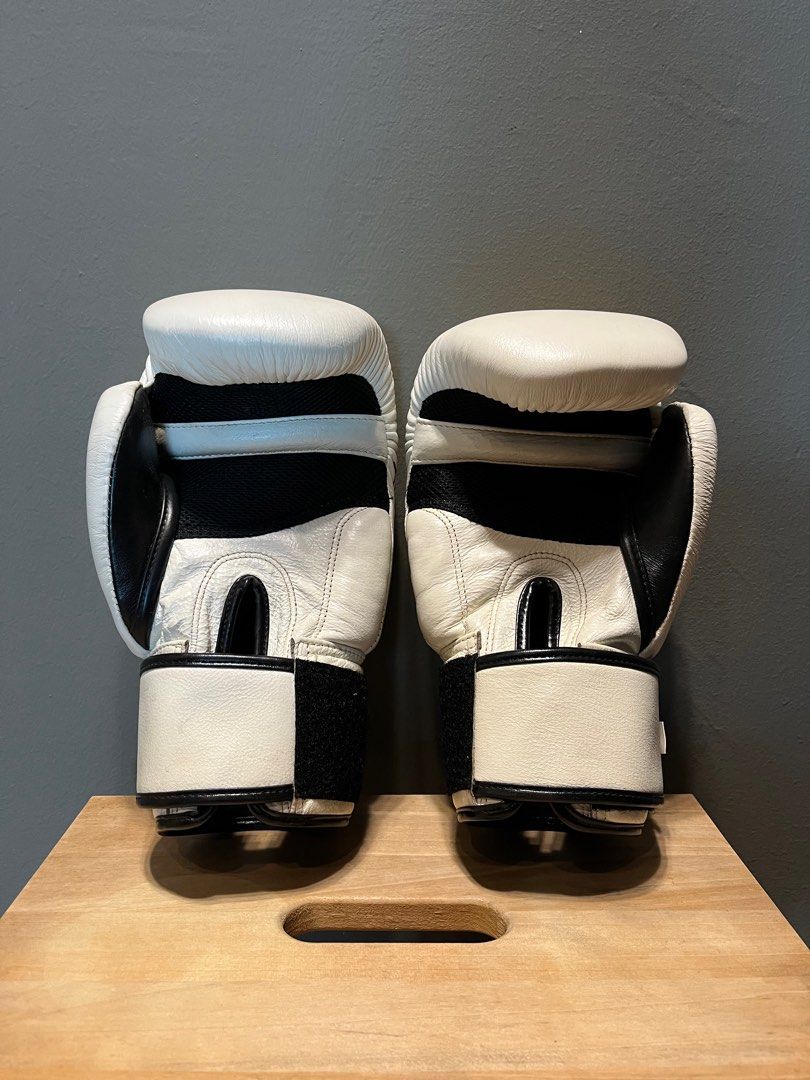 Sandee Boxing Gloves 12Oz, Sports Equipment, Other Sports Equipment and ...