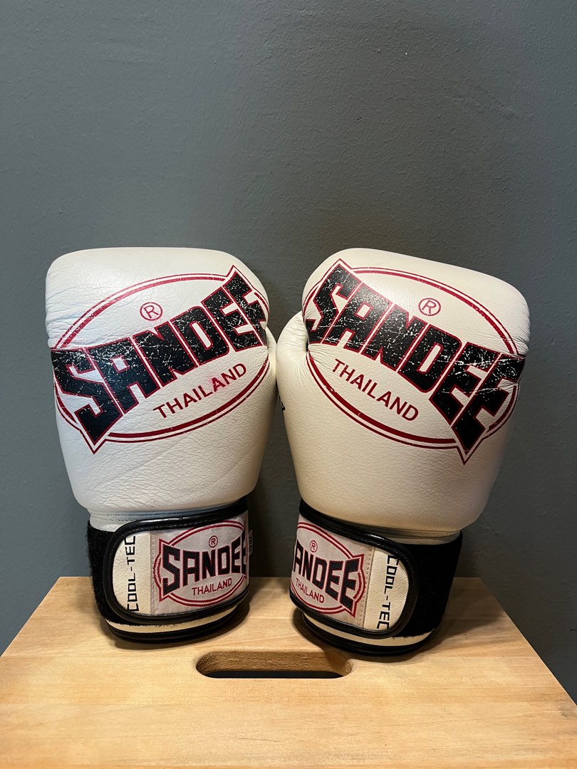 Sandee Boxing Gloves 12Oz, Sports Equipment, Other Sports Equipment and ...