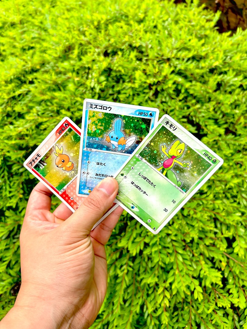 [Set] Mudkip Torchic Treecko Holo Starter Deck Hoenn Starters Japanese ...