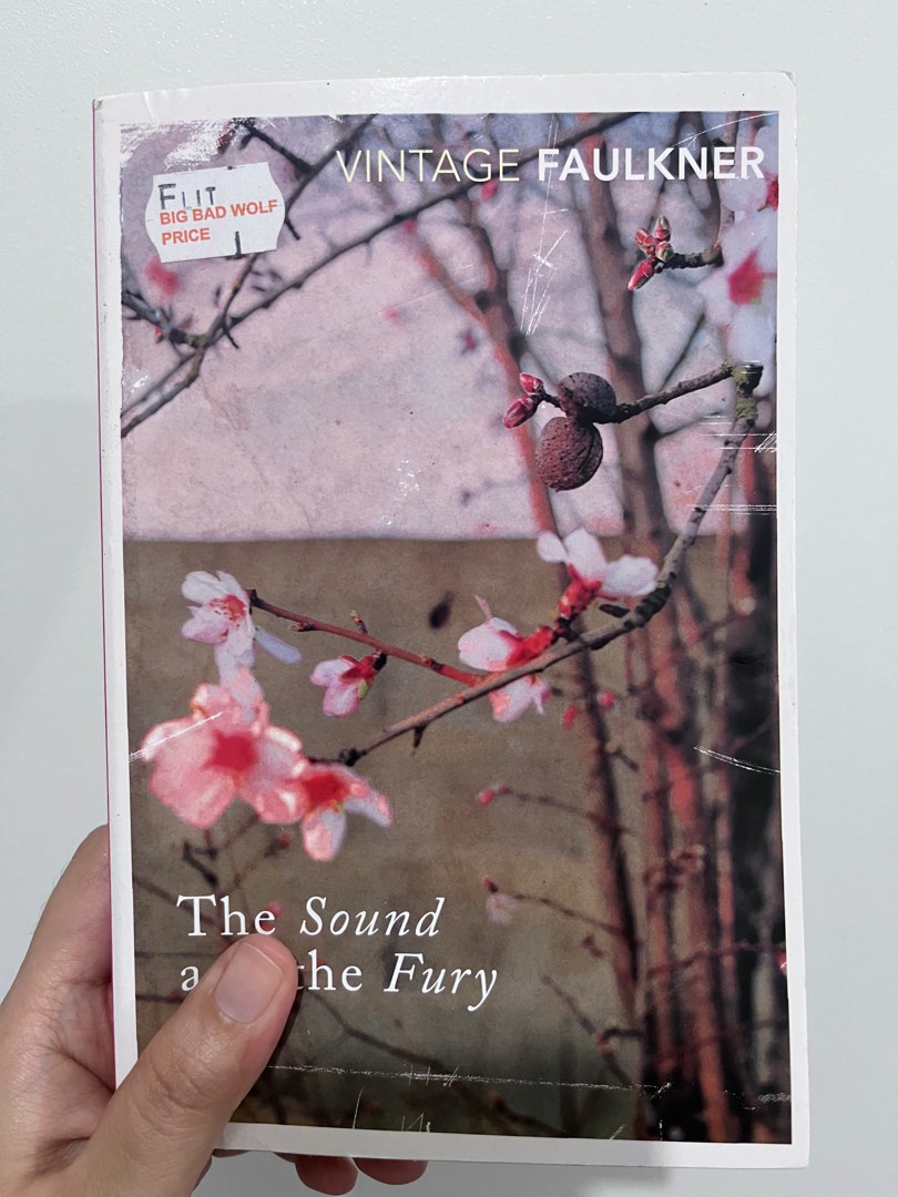 The Sound and the Fury, Hobbies & Toys, Books & Magazines, Fiction ...