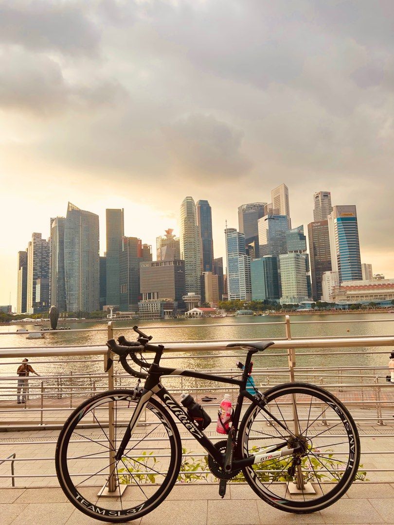 2023 Wilier Triestina GTR Team full carbon road bike Shimano Ultegra ...