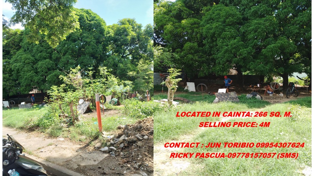 CAINTA LOT FOR SALE, Property, For Sale, Lot on Carousell