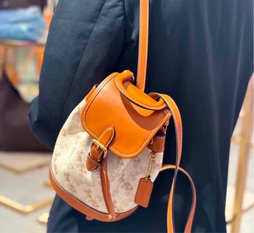 Coach Carriage Backpack, Women's Fashion, Bags & Wallets, Backpacks on ...