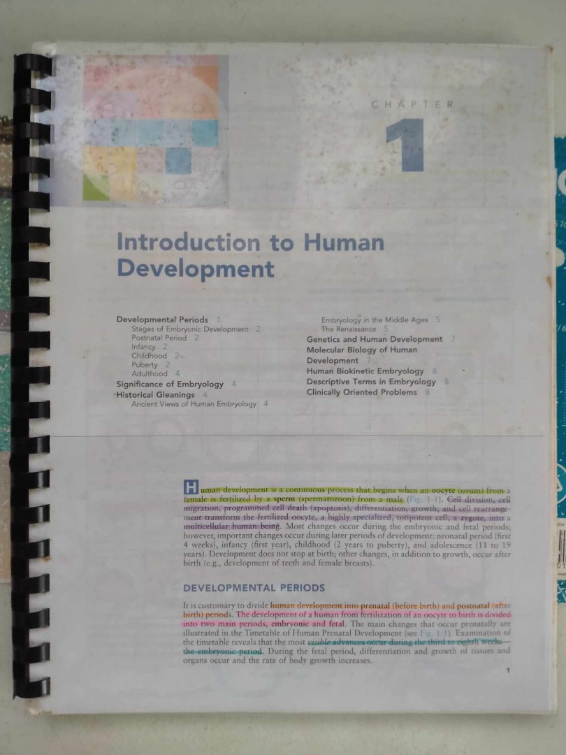 Human Development (Reprint), Hobbies & Toys, Books & Magazines ...