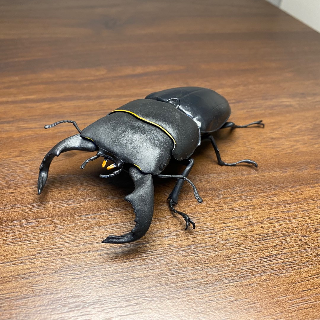 Bandai Stag Beetle (Dorcus Bucephalus), Hobbies & Toys, Toys & Games on ...