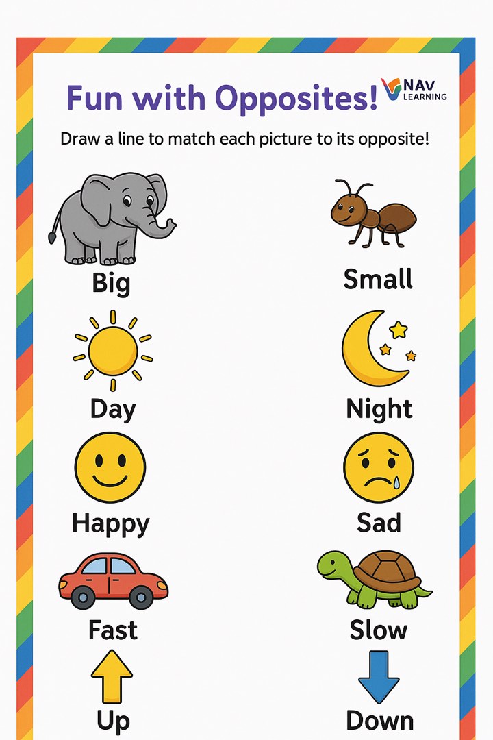 Customised English math and science worksheets, Hobbies & Toys, Books ...