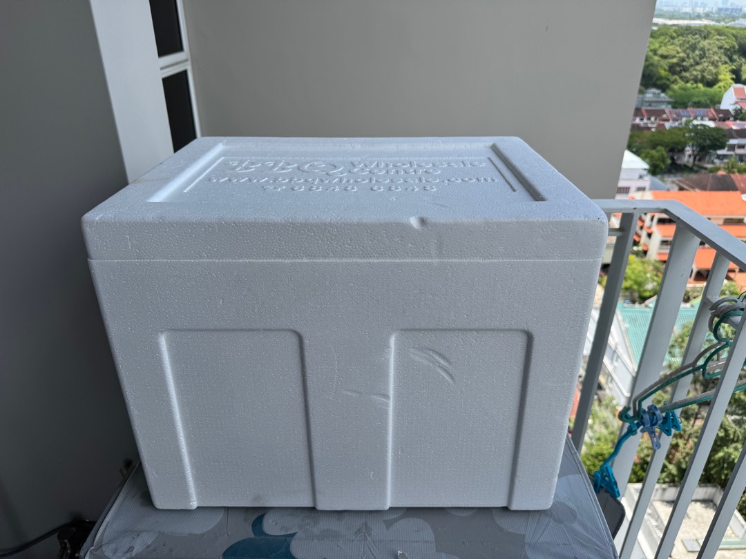 Styrofoam Box for Sale (Halal), Furniture & Home Living, Kitchenware ...