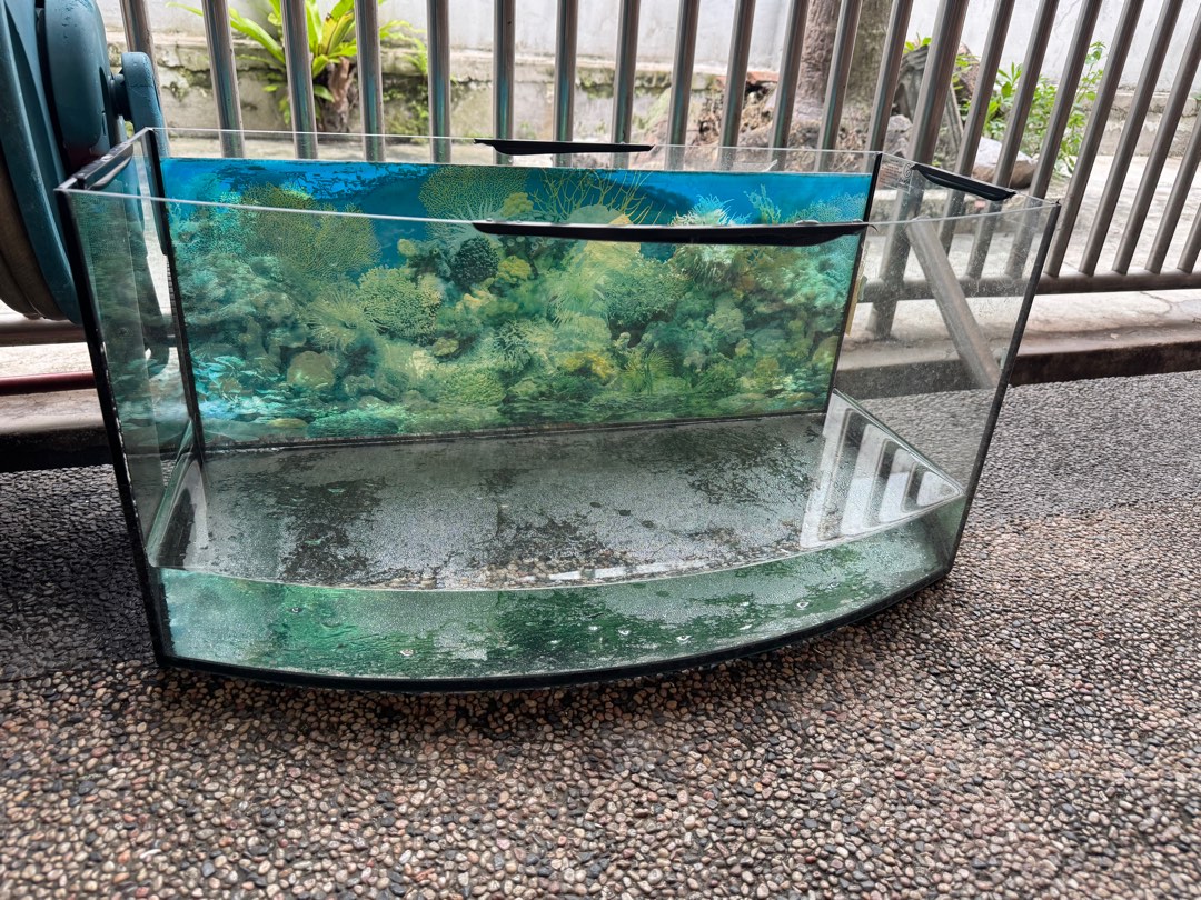 Aquarium Curve Tank, Glass, Curved Corner, Pet Supplies, Homes & Other ...