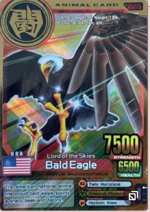 Bald Eagle Animal Kaiser, Hobbies & Toys, Toys & Games on Carousell